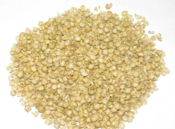 Soybean Hulls – Golden Oil